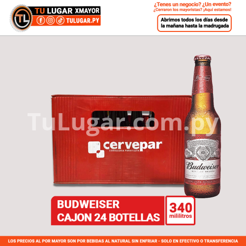 Cerveza Budweiser cajón x 24 botellas de 340ml Al Por Mayor - Tu Lugar ...